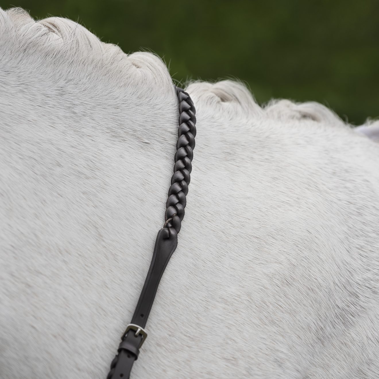 Plaited Martingale – Fiona Cork Saddles
